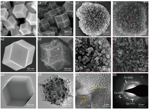 西工大顾军渭&中北大学梁超博团队：仿仙人掌结构研发导热吸波一体化材料_宁波德泰中研信息科技有限公司
